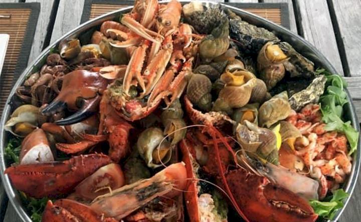 Fish a'Gogo — een uniek visconcept